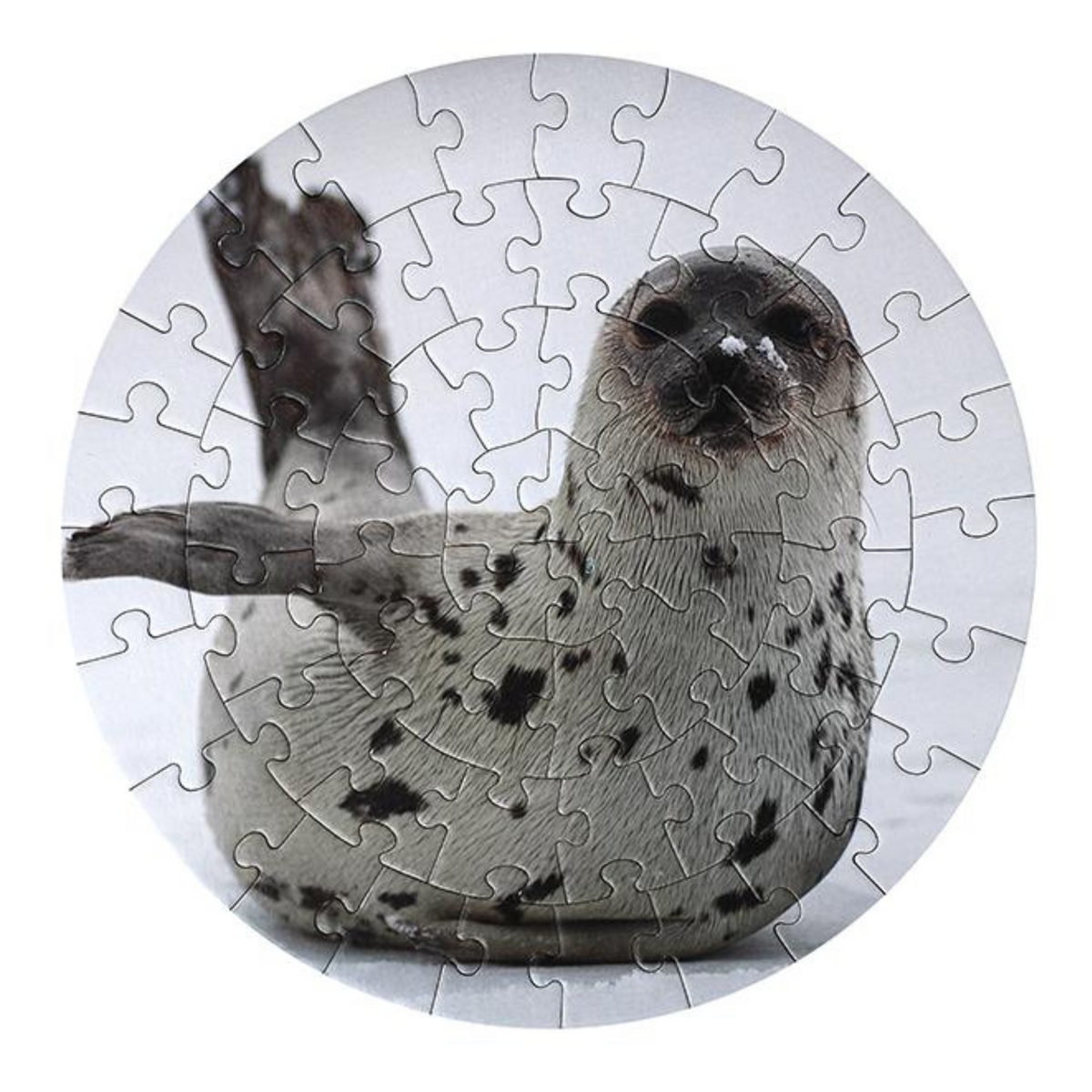 Harbor Seal Round Mini Puzzle – The Marine Mammal Center Gift Store