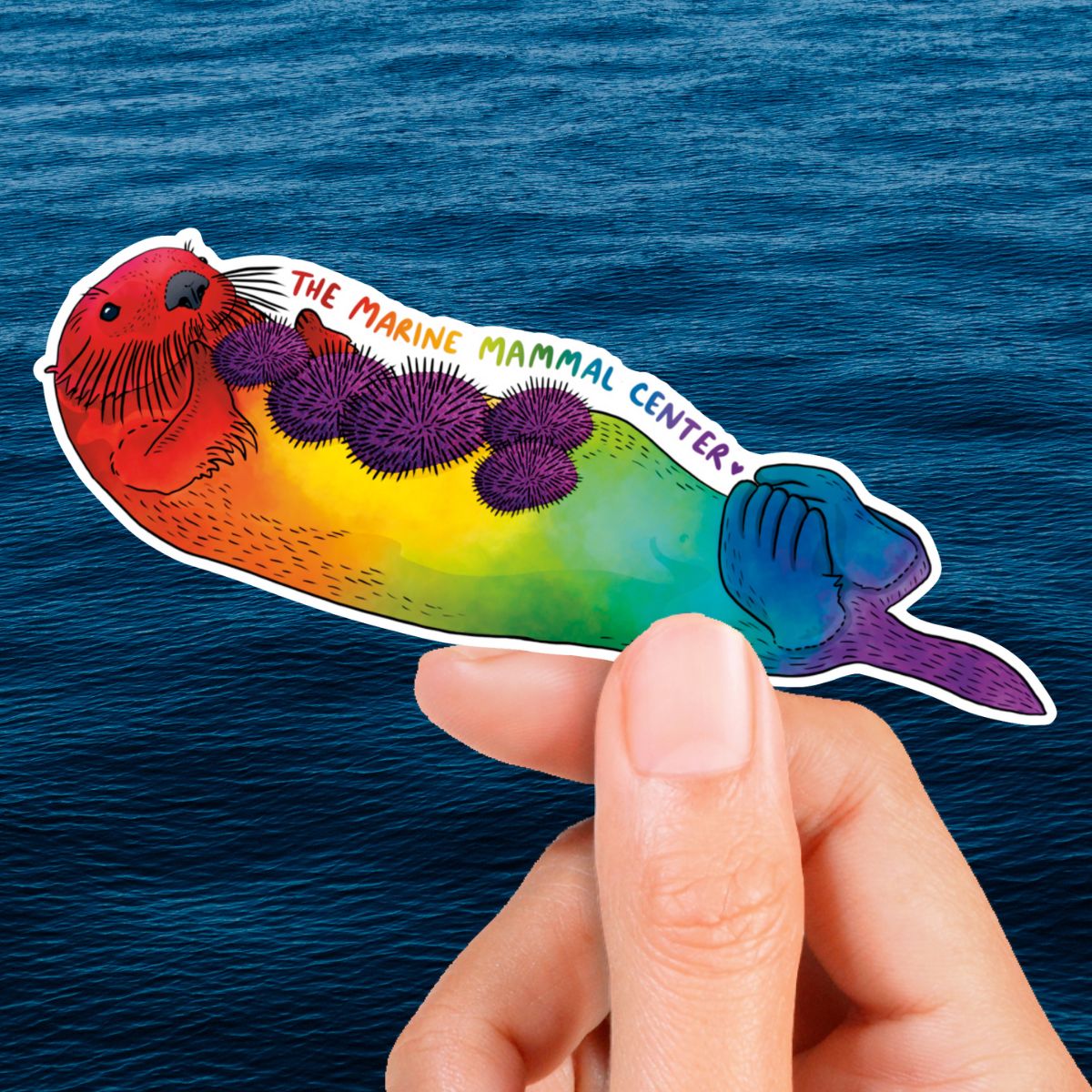 Rainbow Sea Otter Sticker – The Marine Mammal Center Gift Store