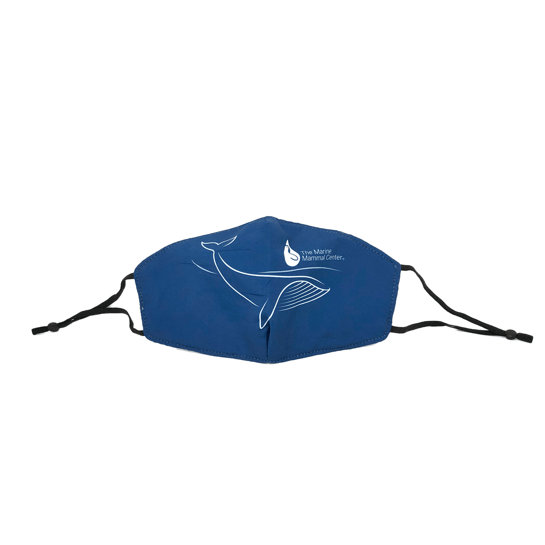 Whale Collection – The Marine Mammal Center Gift Store