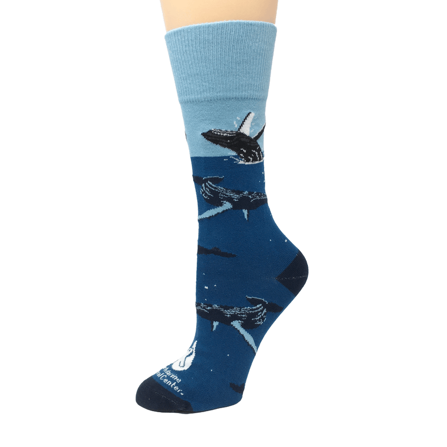 Whale Collection – The Marine Mammal Center Gift Store